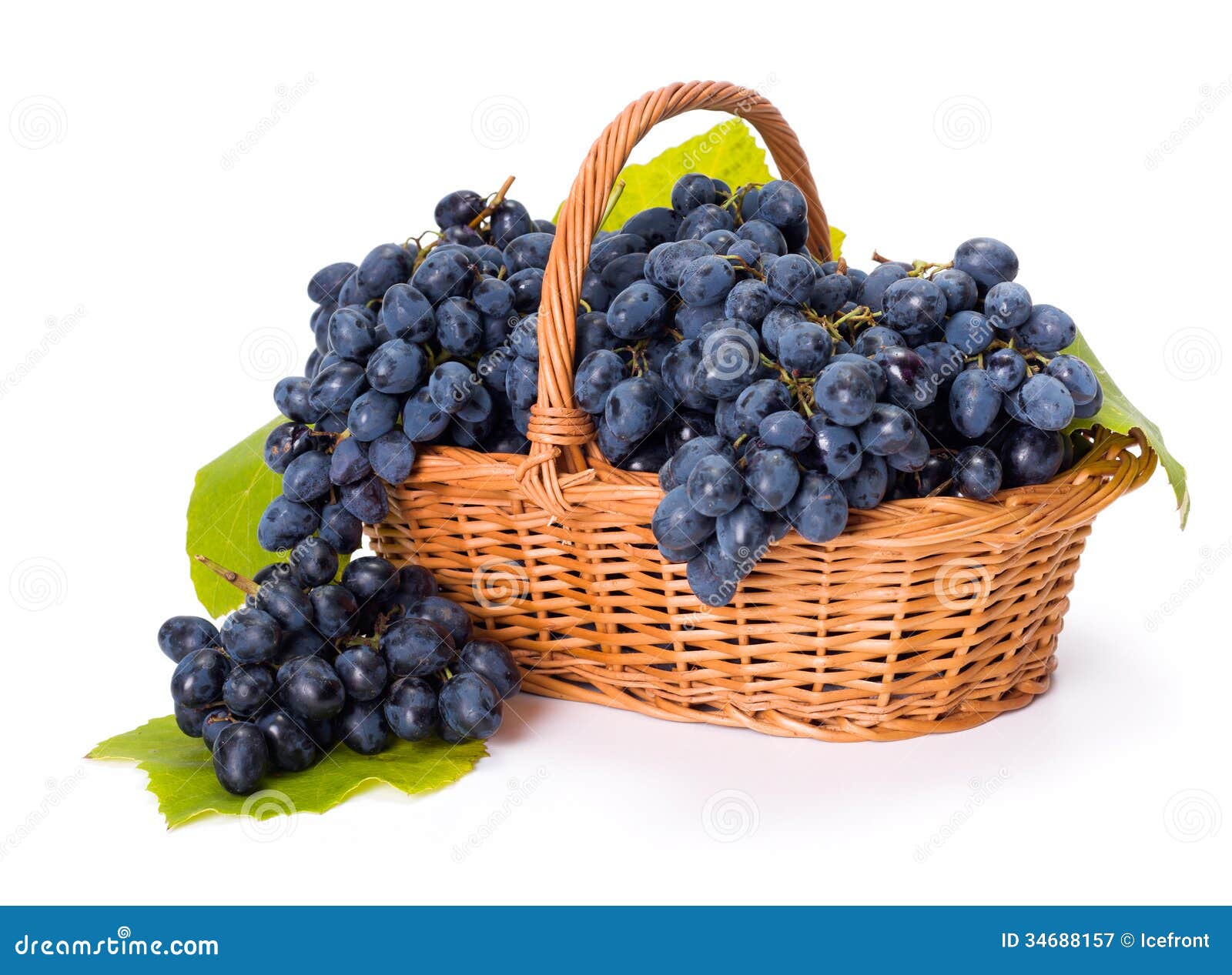 Grape Clusters, Growing White Vine Grapes, Vineyard Royalty-Free Stock ...