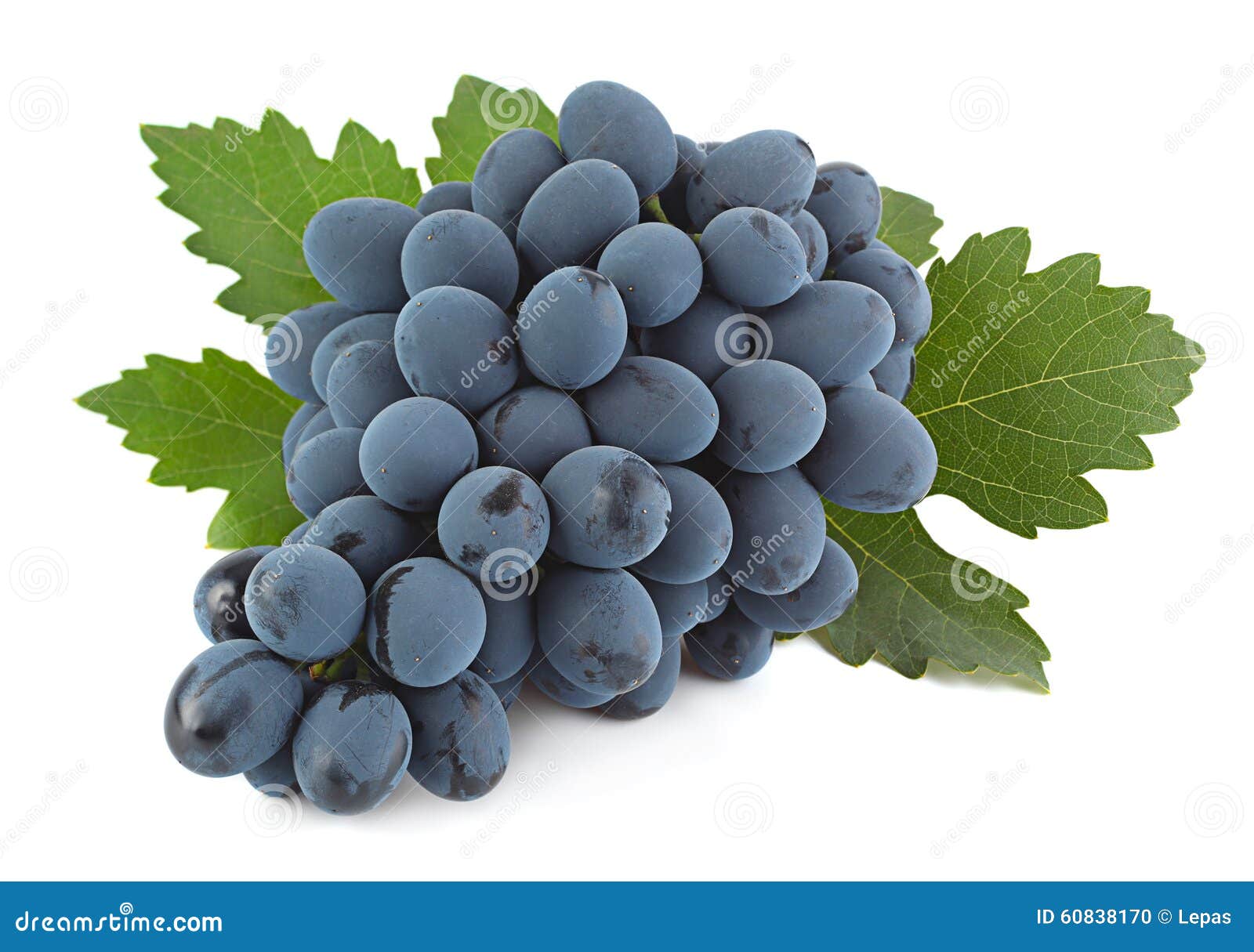 Blue Grape With Green Leaf Royalty-Free Stock Photography ...