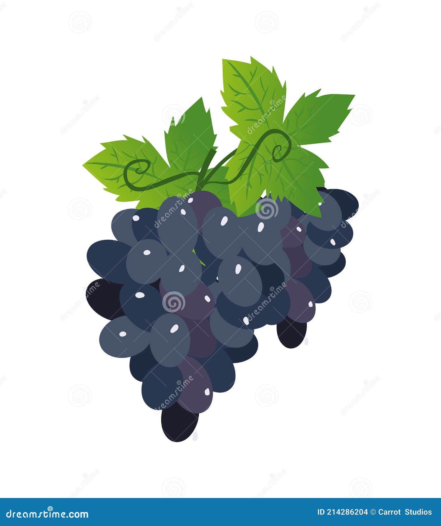Blue grape isolated stock vector. Illustration of healthy - 214286204