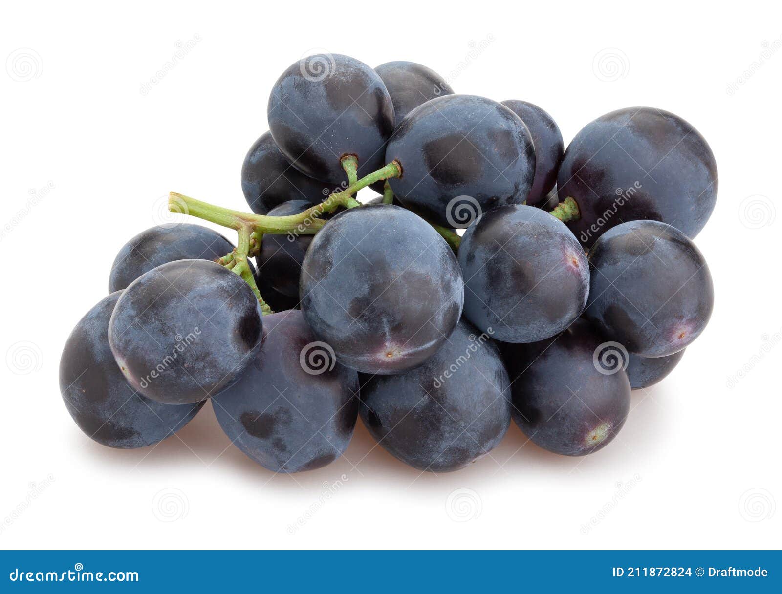 Blue grape stock photo. Image of shiny, dark, cutout - 211872824