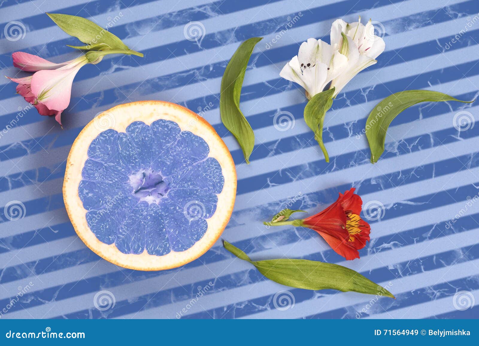 Blue Grapefruit With Flowers On A Striped Background Top View Stock ...
