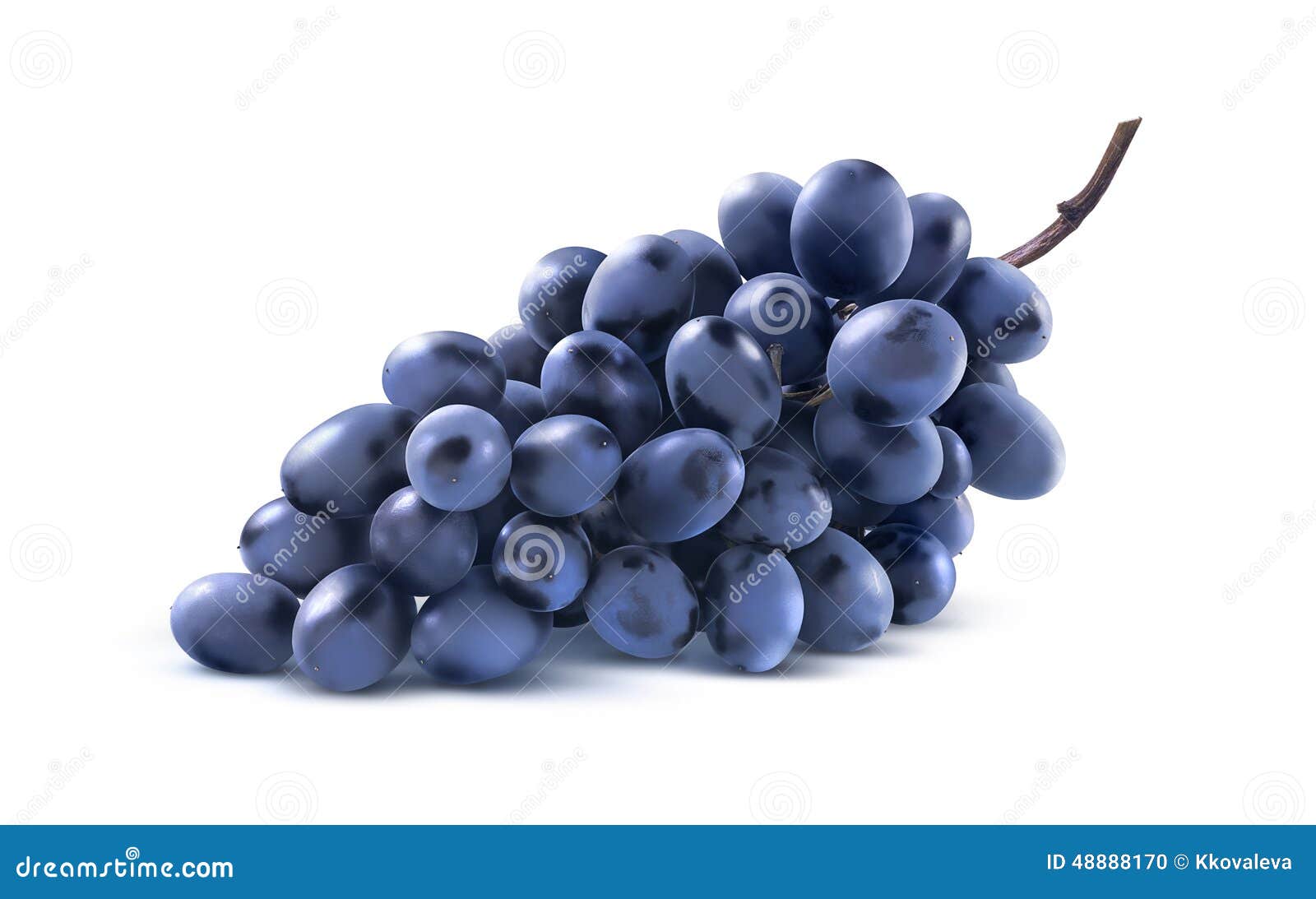 Blue Grapes With Green Leaves Background Stock Image | CartoonDealer ...