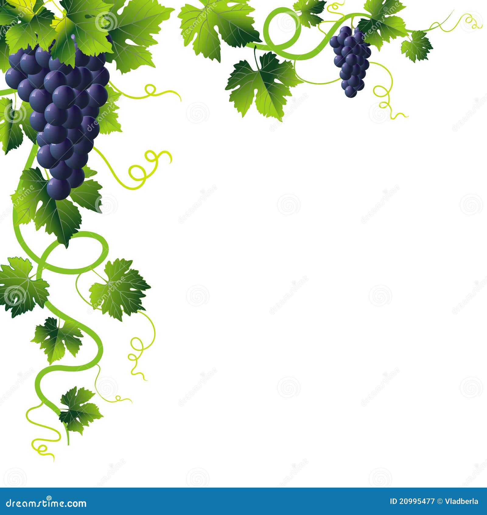 Grape Vine Corner Border