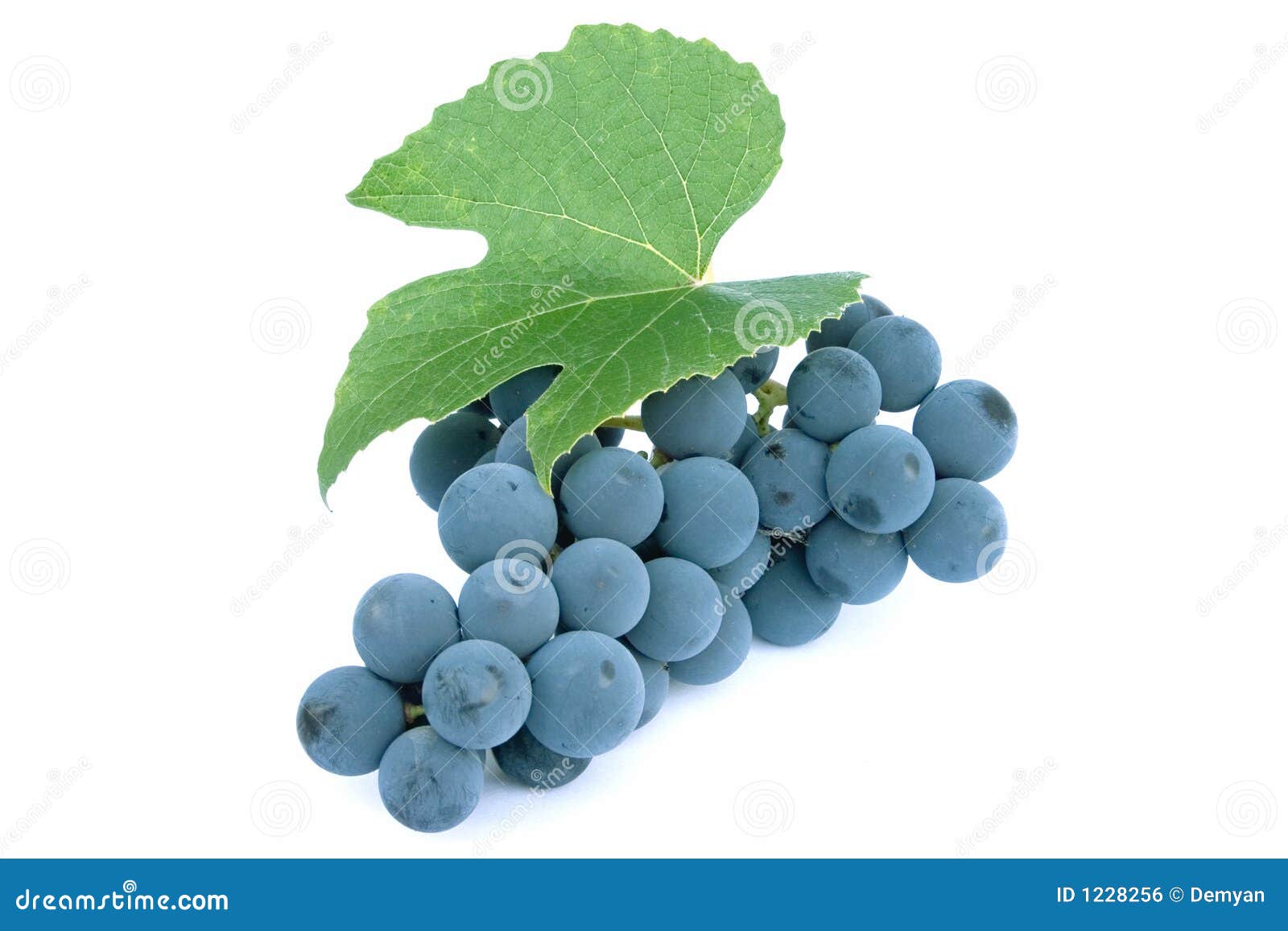 Strugure Stock Photos - Free & Royalty-Free Stock Photos from Dreamstime