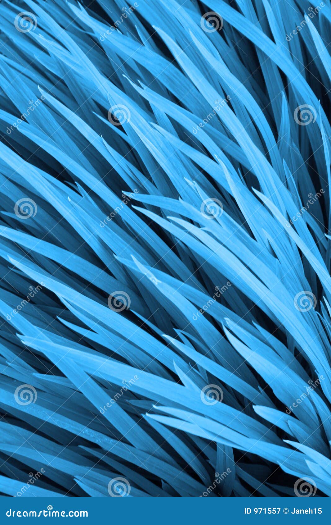 Blue grass stock image. Image of wallpaper, blue, texture - 971557