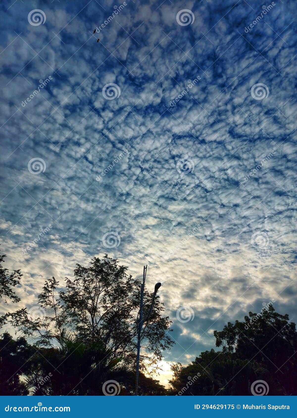 The Sky Turns Blue at Sunset Stock Image - Image of night, gray: 294629175