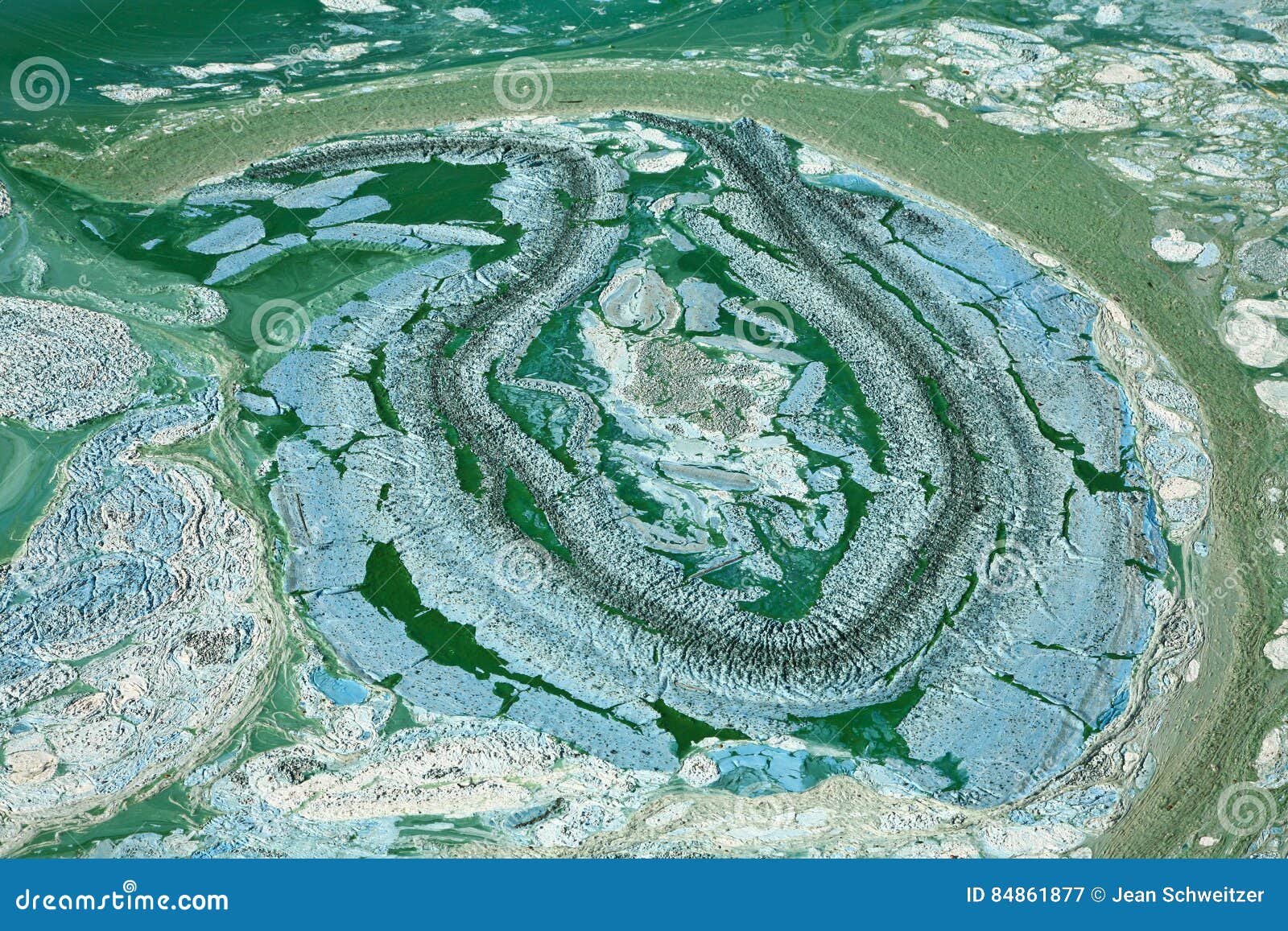 Blue-green Algae on a Lake in Denmark Stock Image - Image of ...