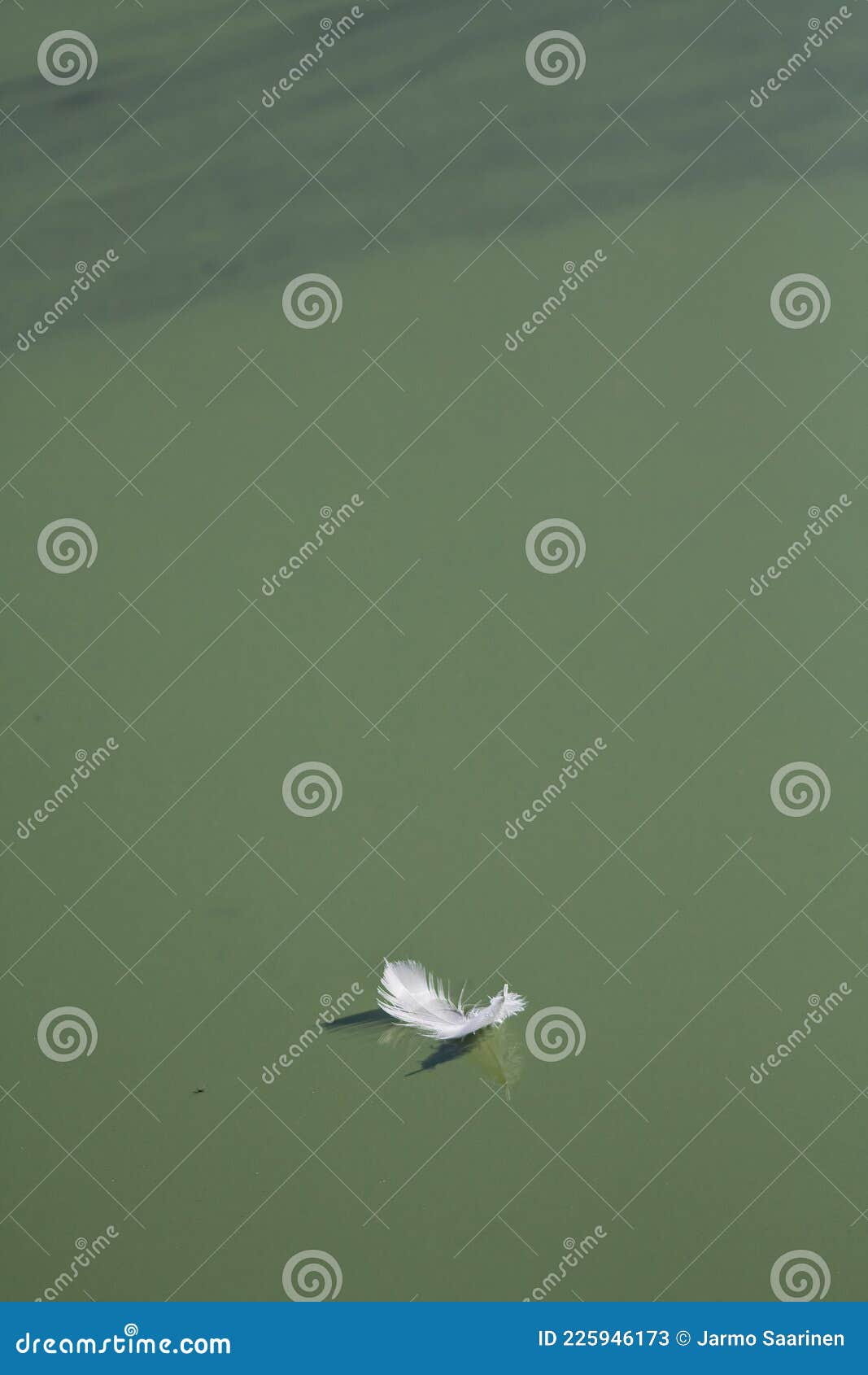 Blue-green Algae Make Water Green Stock Image - Image of organic ...