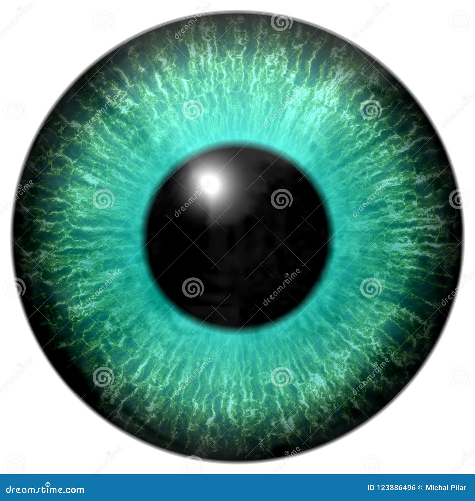 Eyeball Round Part Of The Eye Within Eyelids And Socket Vector ...