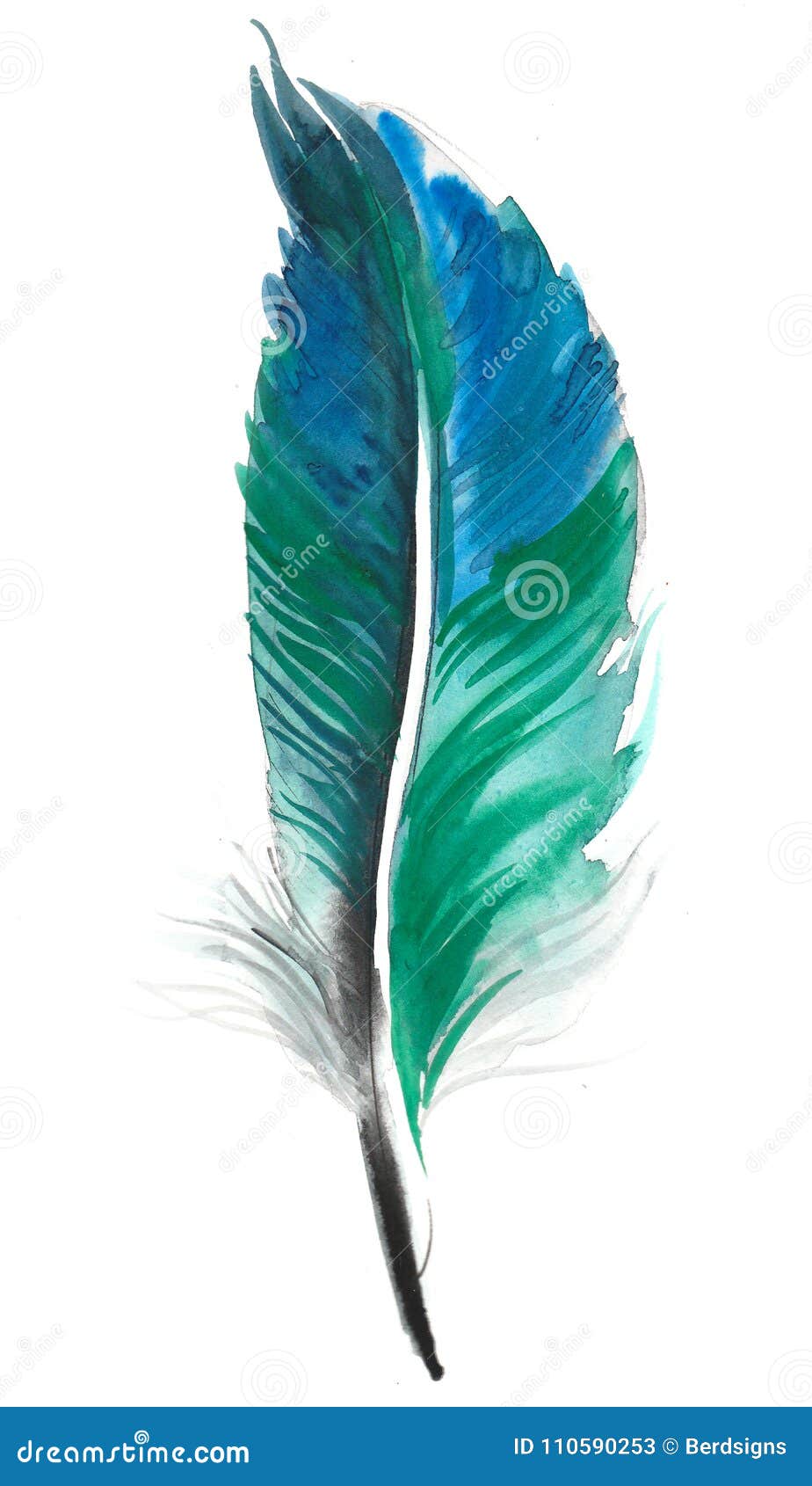 Blue green feather stock illustration. Illustration of sketch - 110590253