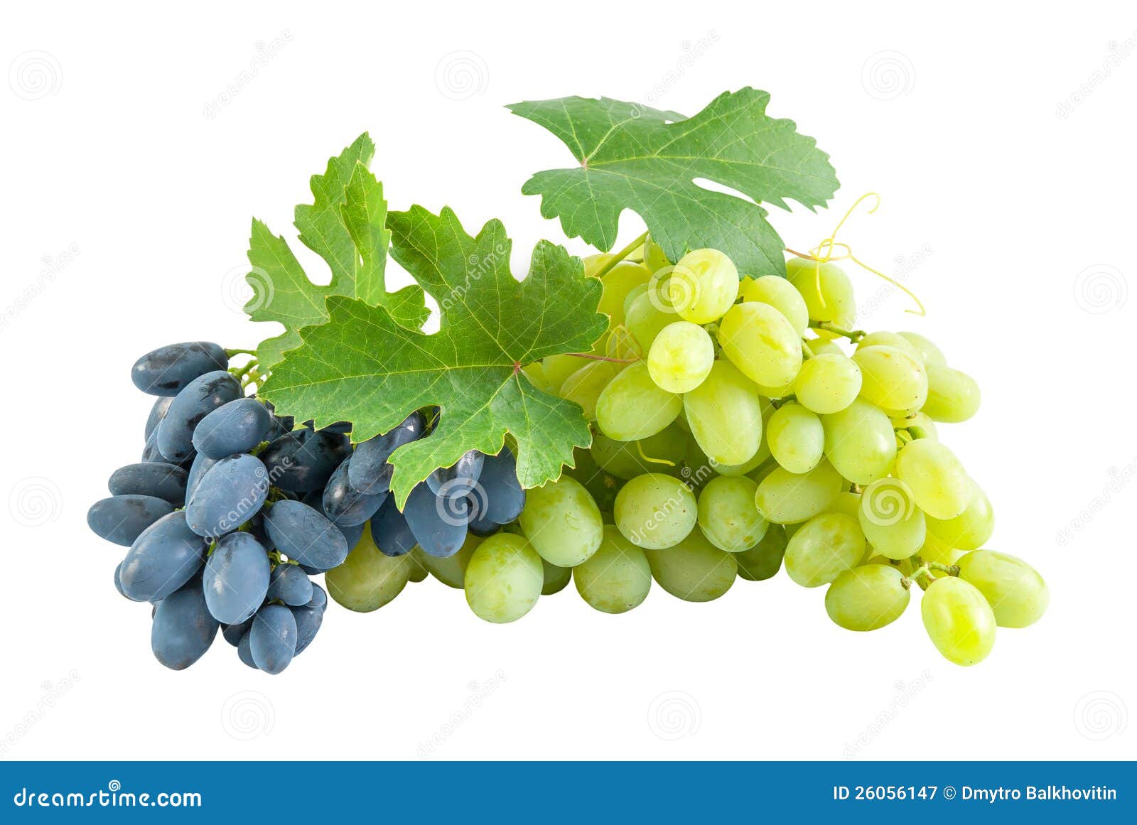 Blue and green grapes stock image. Image of blue, natural - 26056147