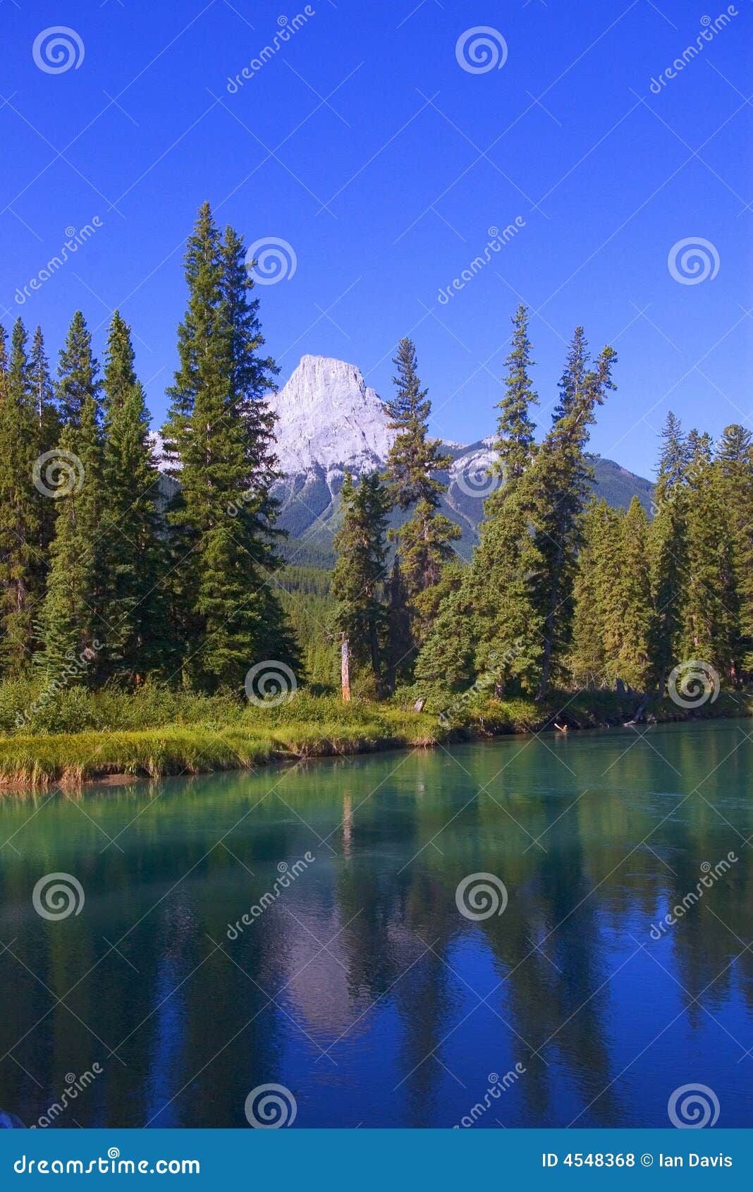 Blue-green River and Mountain Stock Photo - Image of alberta, canada ...