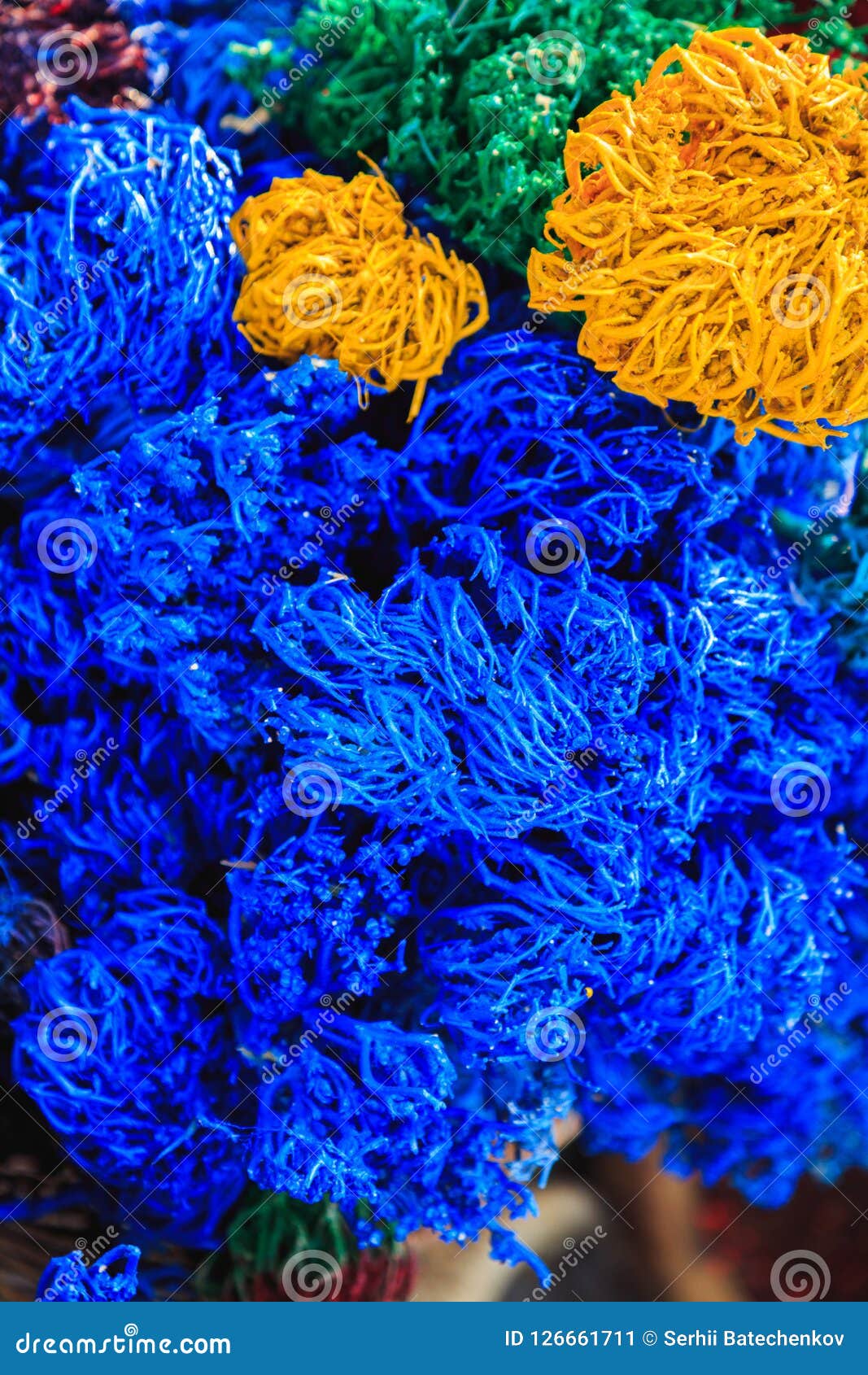 Colored dried algae stock image. Image of seaweed, handmade - 126661711