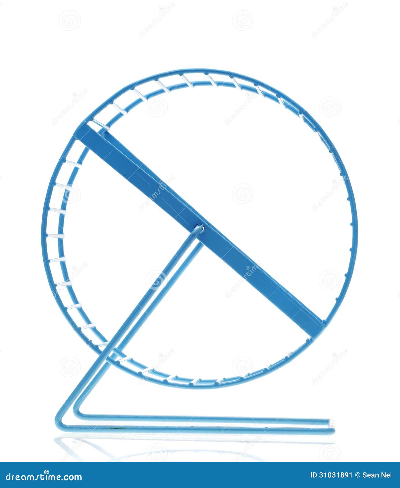 Blue Hamster Wheel Royalty-Free Stock Photography | CartoonDealer.com ...
