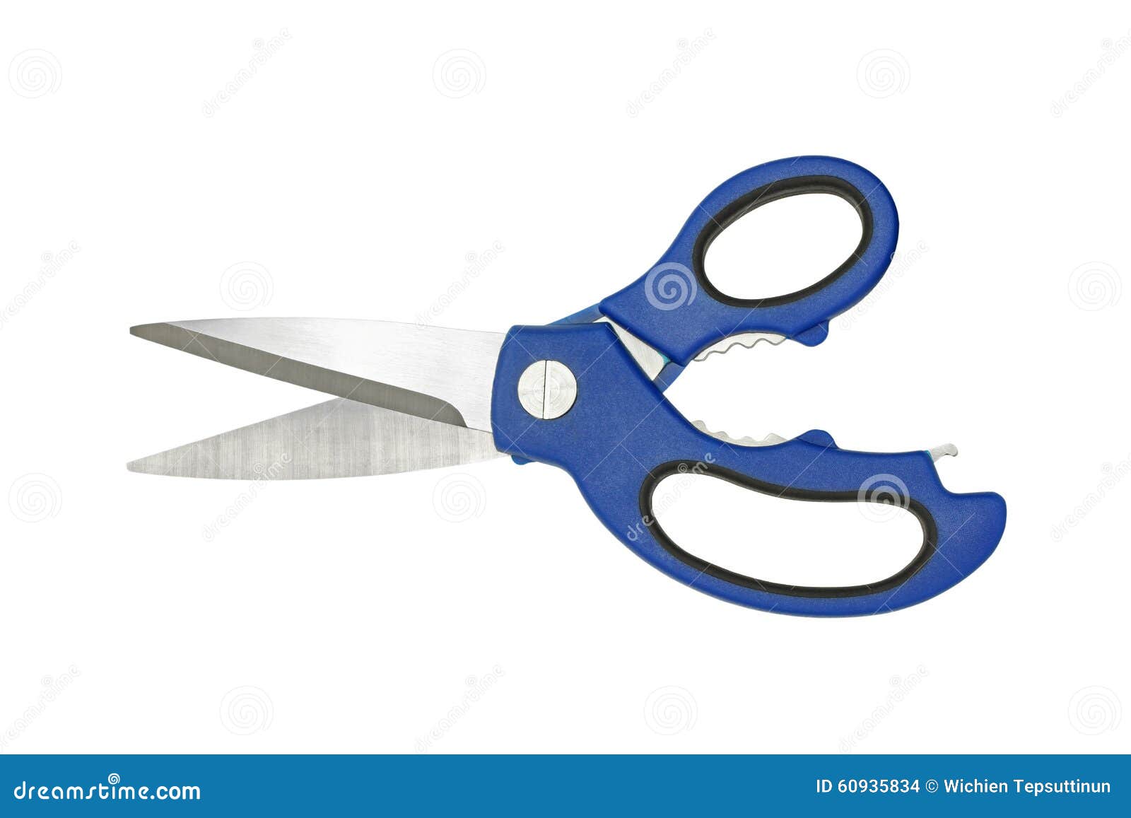 Blue Handle Kitchen Scissors Stock Photo - Image of purpose, blue: 60935834