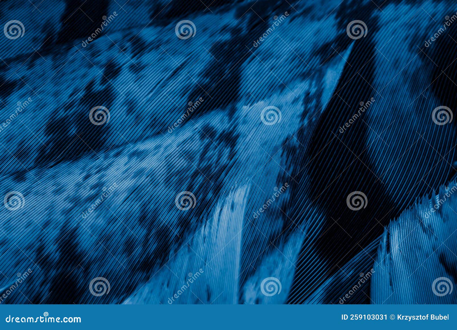 Blue Hawk Feathers with Visible Detail. Background or Texture Stock ...