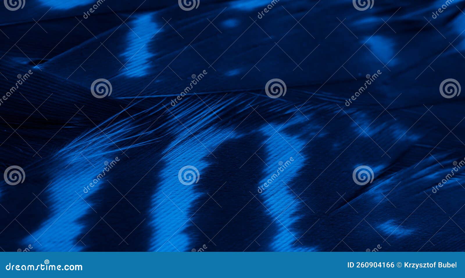 Blue Hawk Feathers with Visible Detail. Background or Texture Stock ...