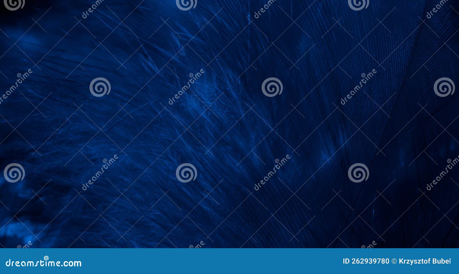 Blue Hawk Feathers with Visible Detail. Background or Texture Stock ...