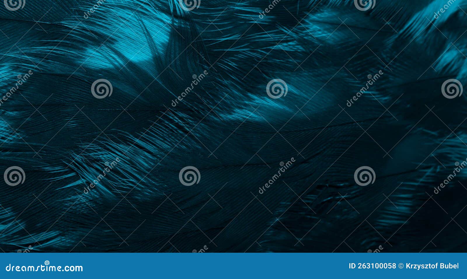 Blue Hawk Feathers with Visible Detail. Background or Texture Stock ...