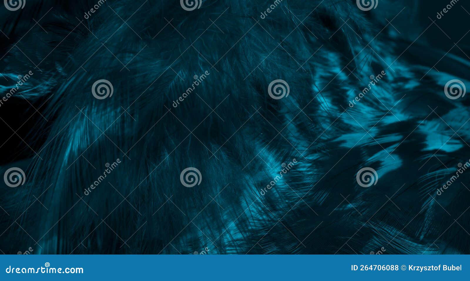Blue Hawk Feathers with Visible Detail. Background or Texture Stock ...