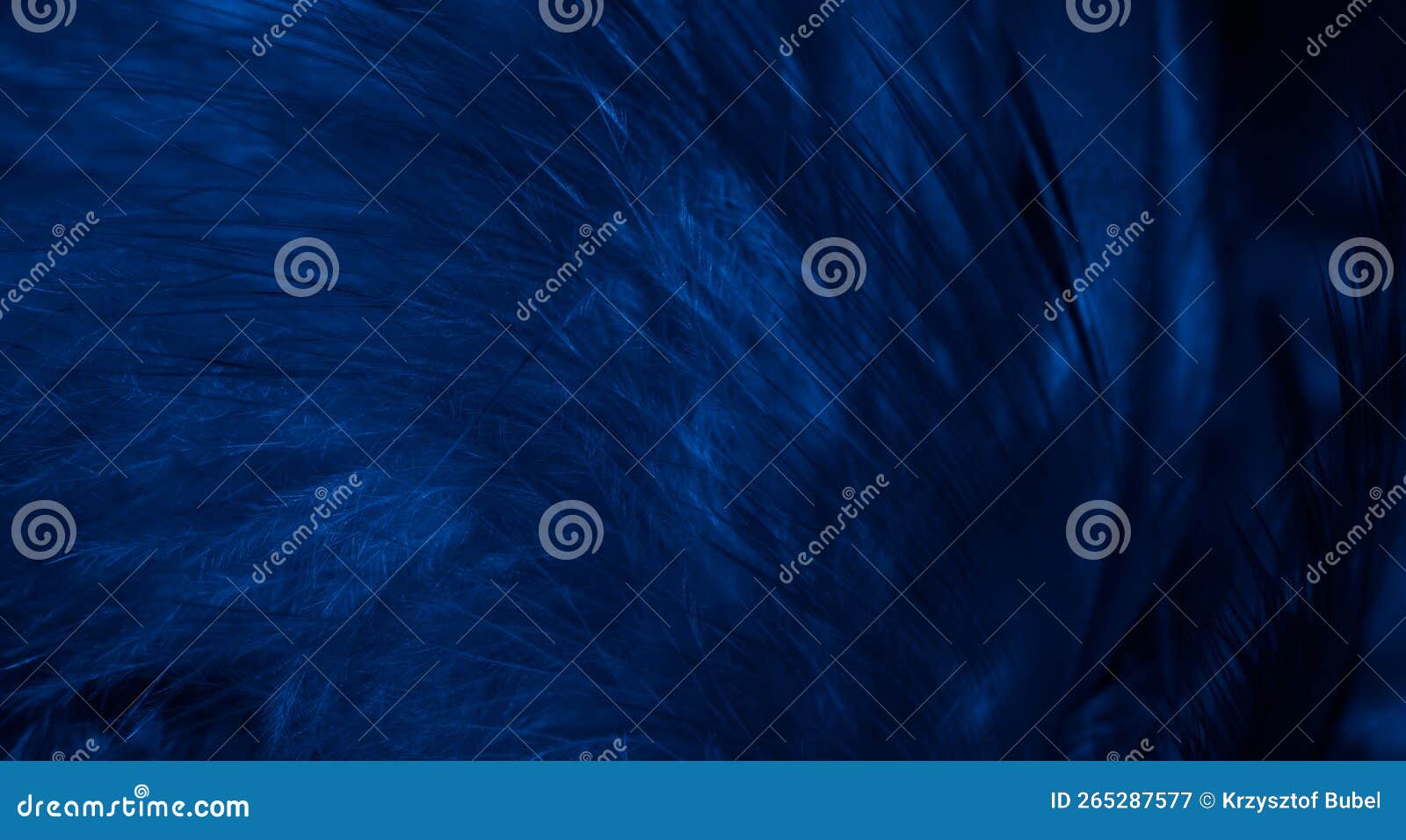 Blue Hawk Feathers with Visible Detail. Background or Texture Stock ...