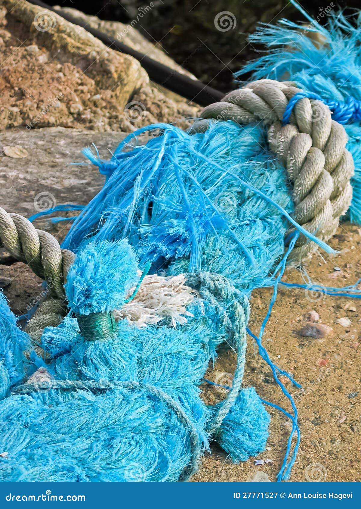 Blue hawser stock image. Image of agricultural, closeup - 27771527