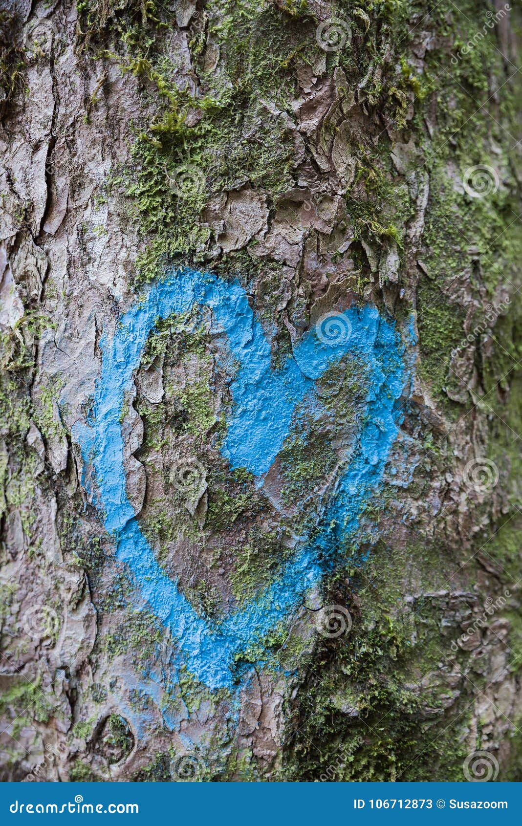 Blue Heart, Sprayed on a Tree Bark Stock Image - Image of rough, moss ...