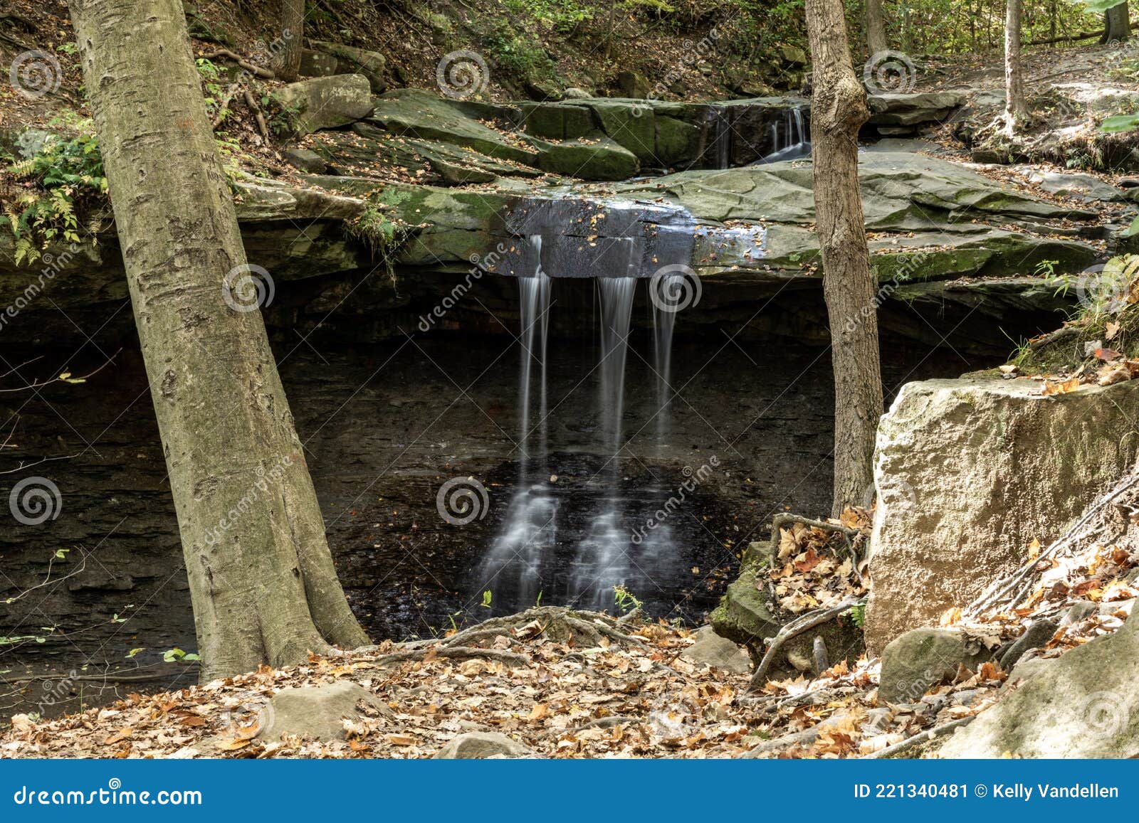 A Creek Splits Into Two Waterfalls In The New Zealand Forest Royalty ...