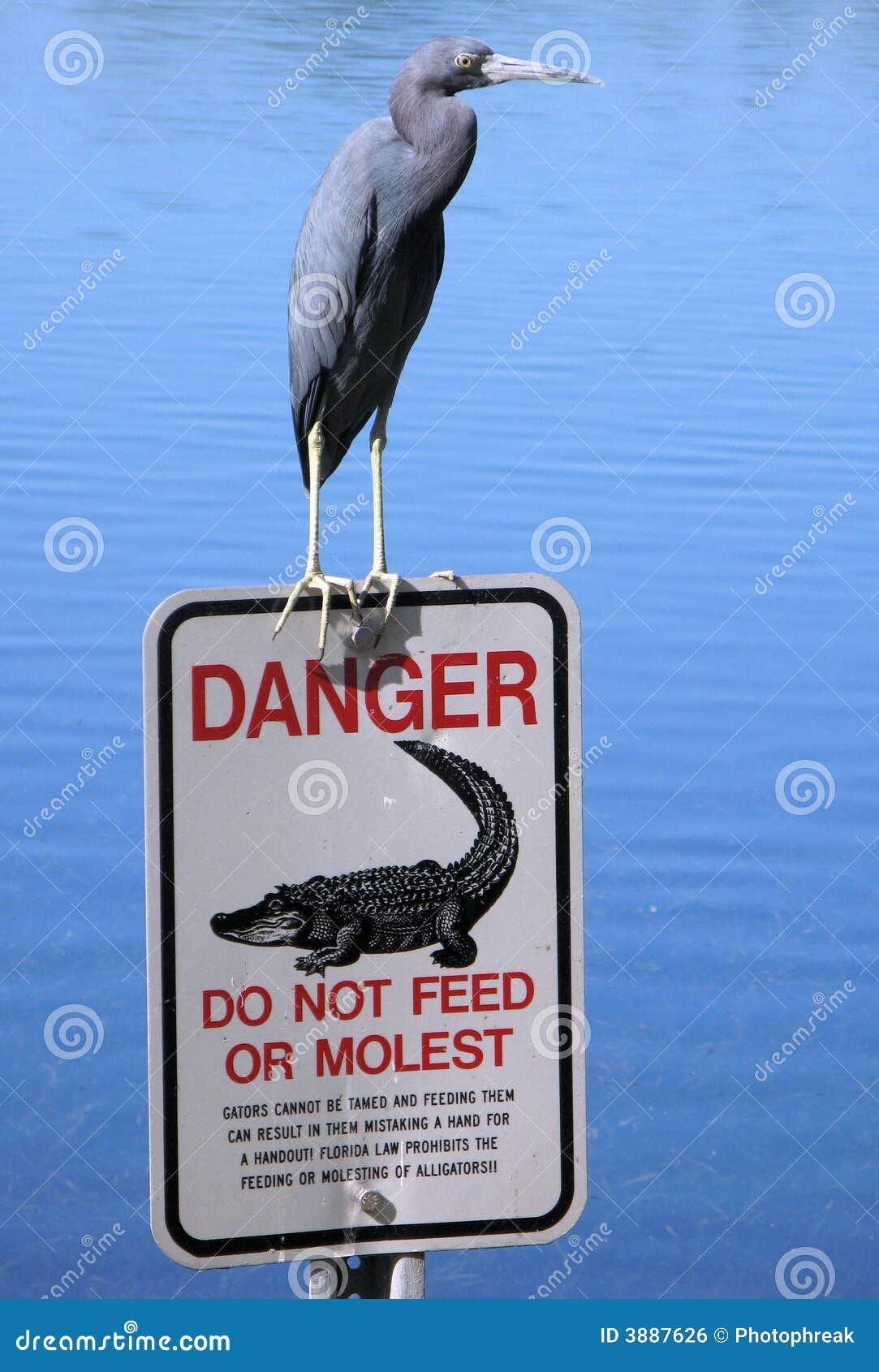 444 Sign Perch Stock Photos - Free & Royalty-Free Stock Photos from ...