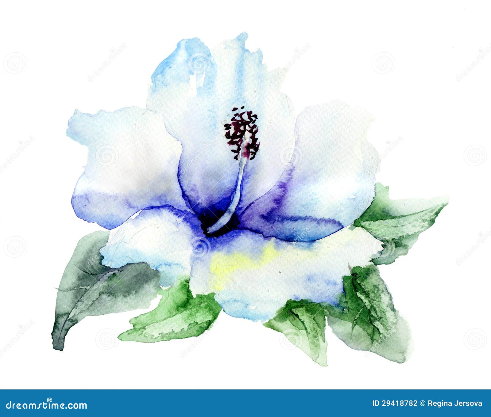 Blue Hibiskus flower stock illustration. Illustration of backdrop ...