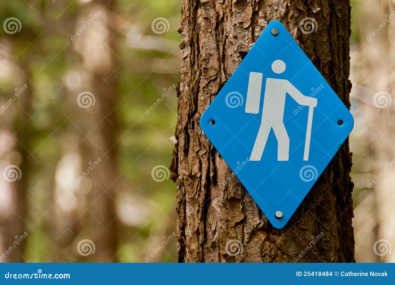 Blue Hiking Trail Marker stock photo. Image of outside - 25418484