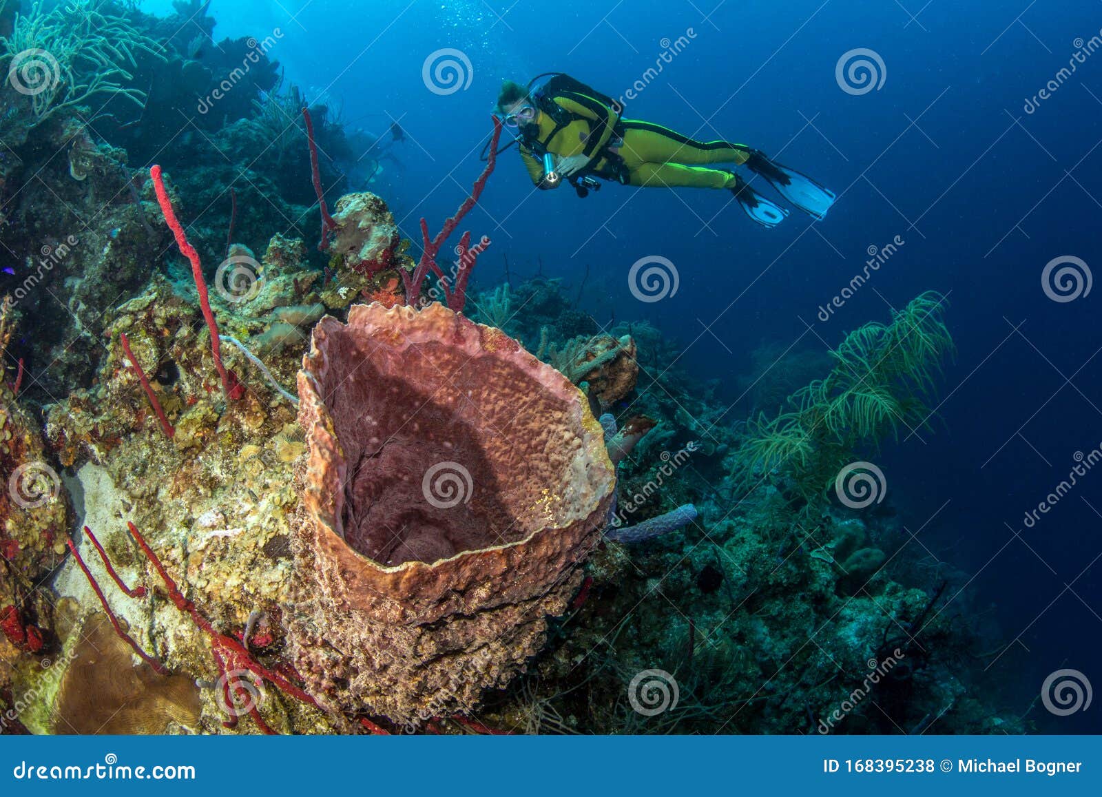Blue Hole Belize Scuba Diving Editorial Stock Photo - Image of blue ...