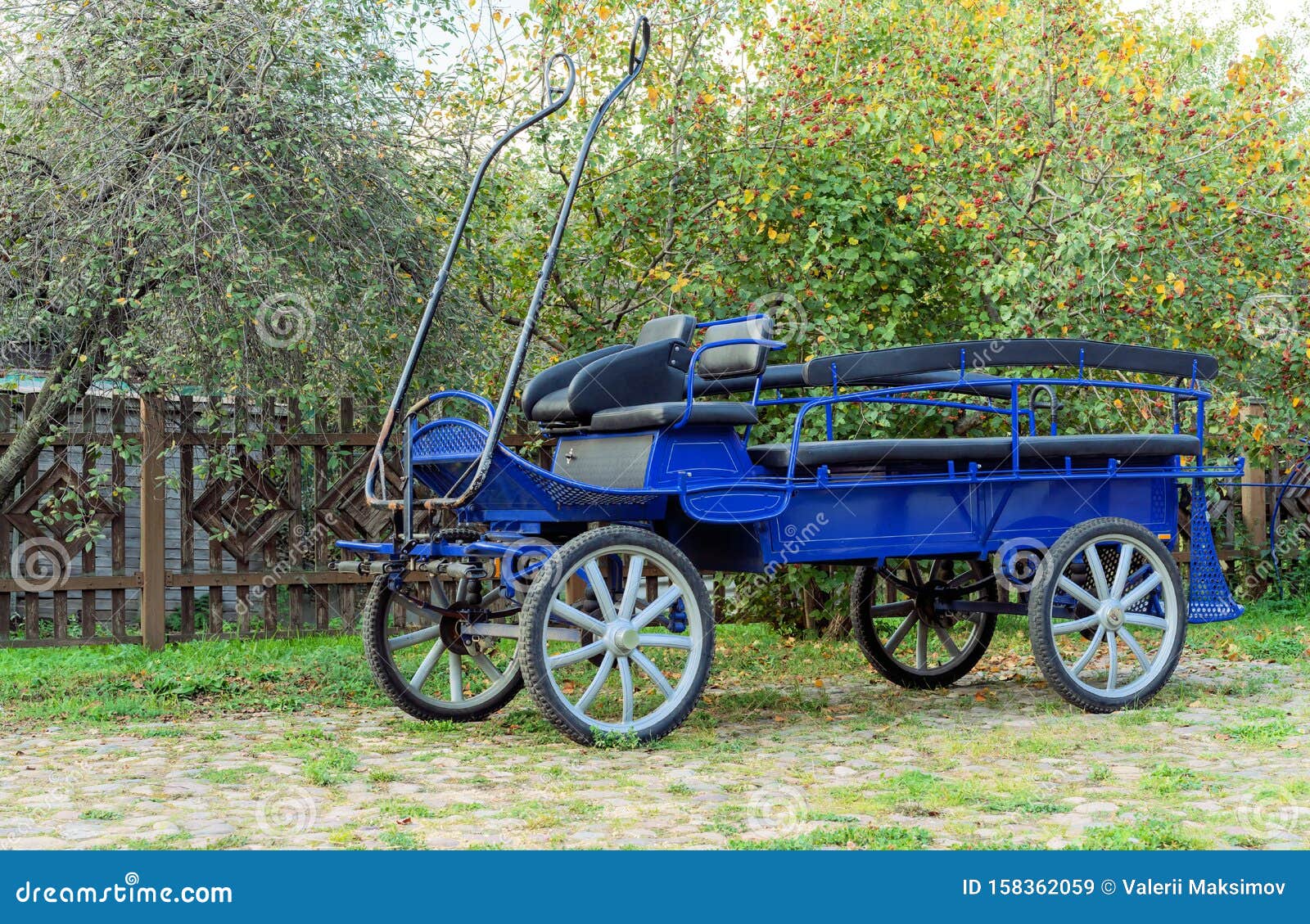 Blue Horse Carriage for Transporting Passengers Stock Image - Image of ...