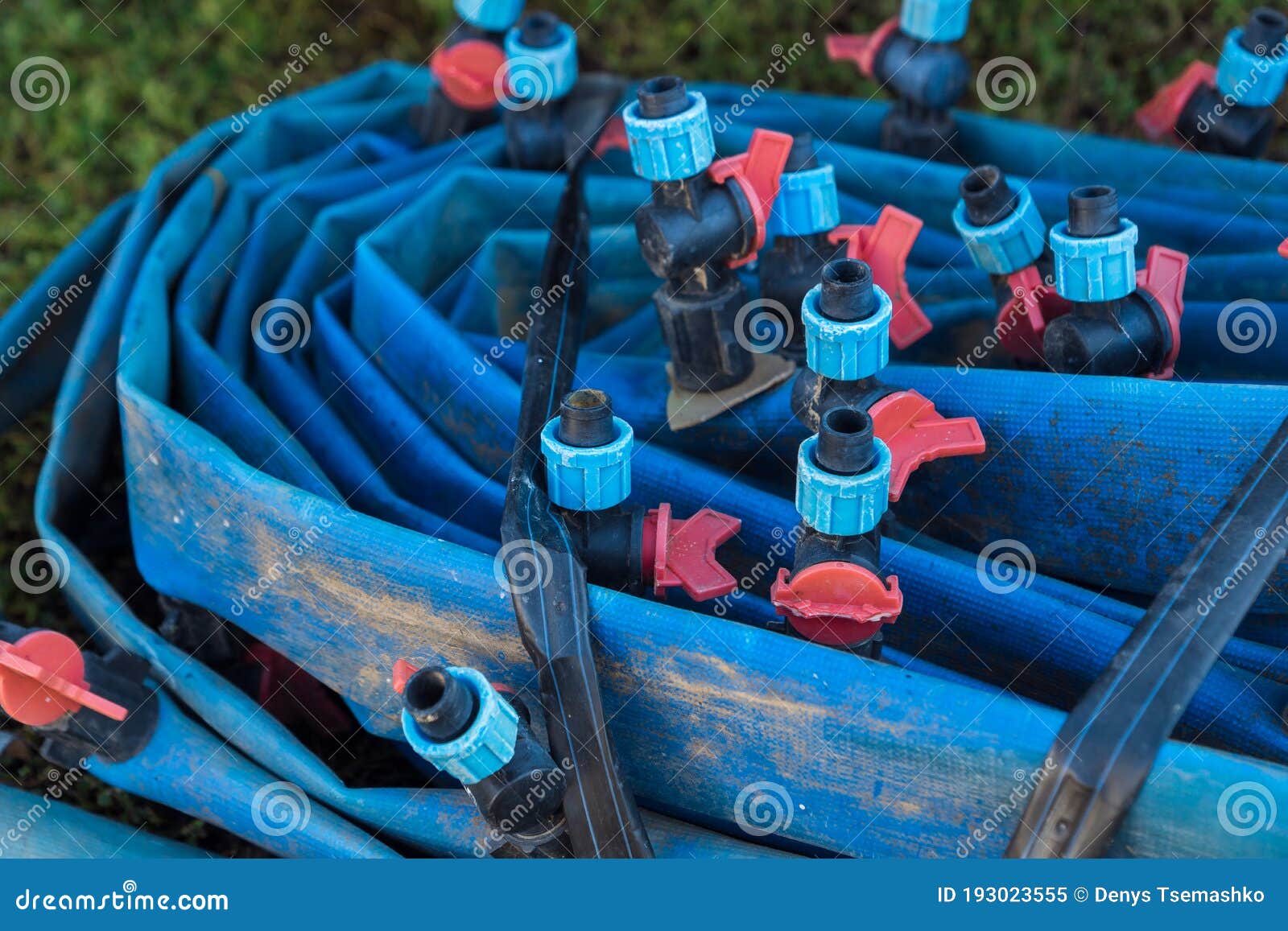 Blue Hoses of the Drip Irrigation System. Stock Image - Image of hole ...