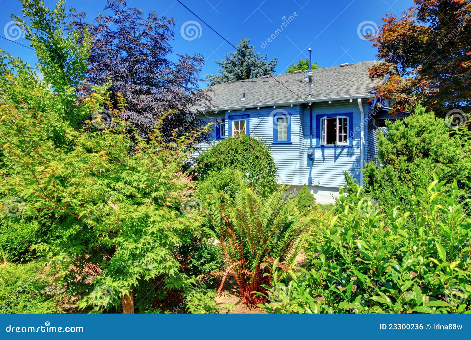 Blue House Back Yard with Garden Stock Photo - Image of home, building ...