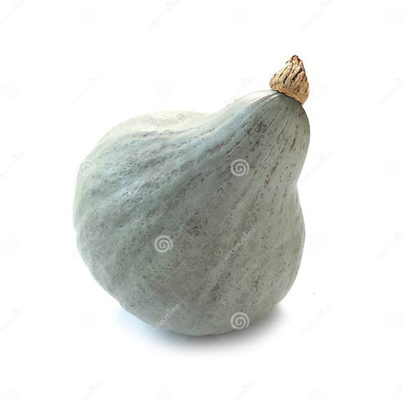 Blue Hubbard Squash stock photo. Image of background - 157073308