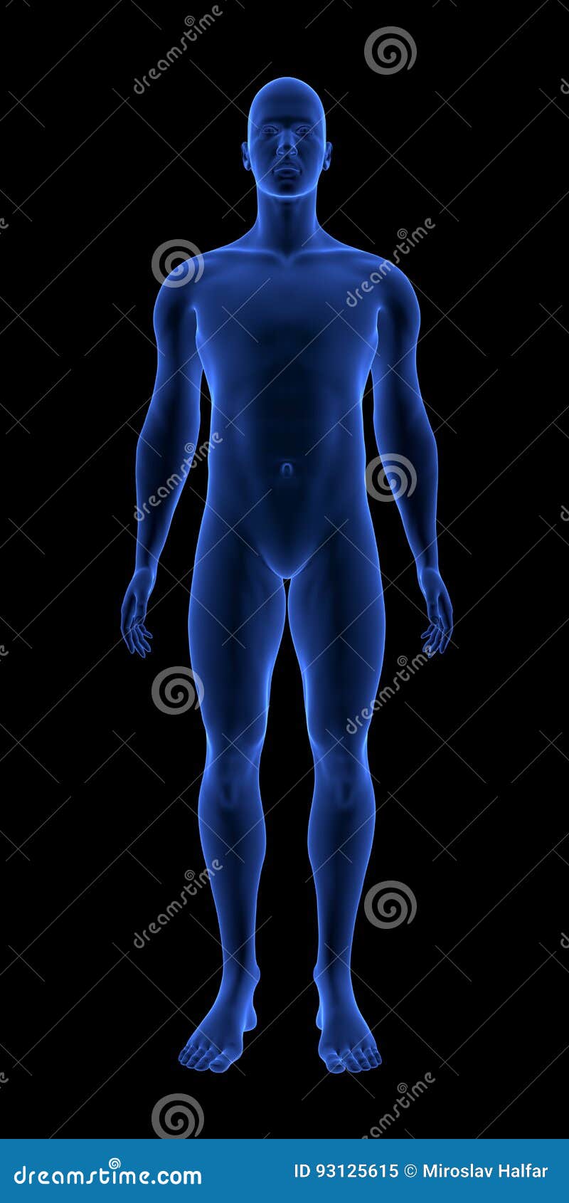 Blue Human Anatomy Elbow Stock Illustrations – 1,636 Blue Human Anatomy ...