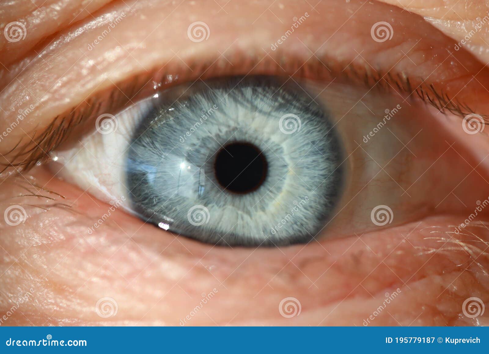 Blue Human Eye with Black Pupil Closeup. Stock Image - Image of lens ...