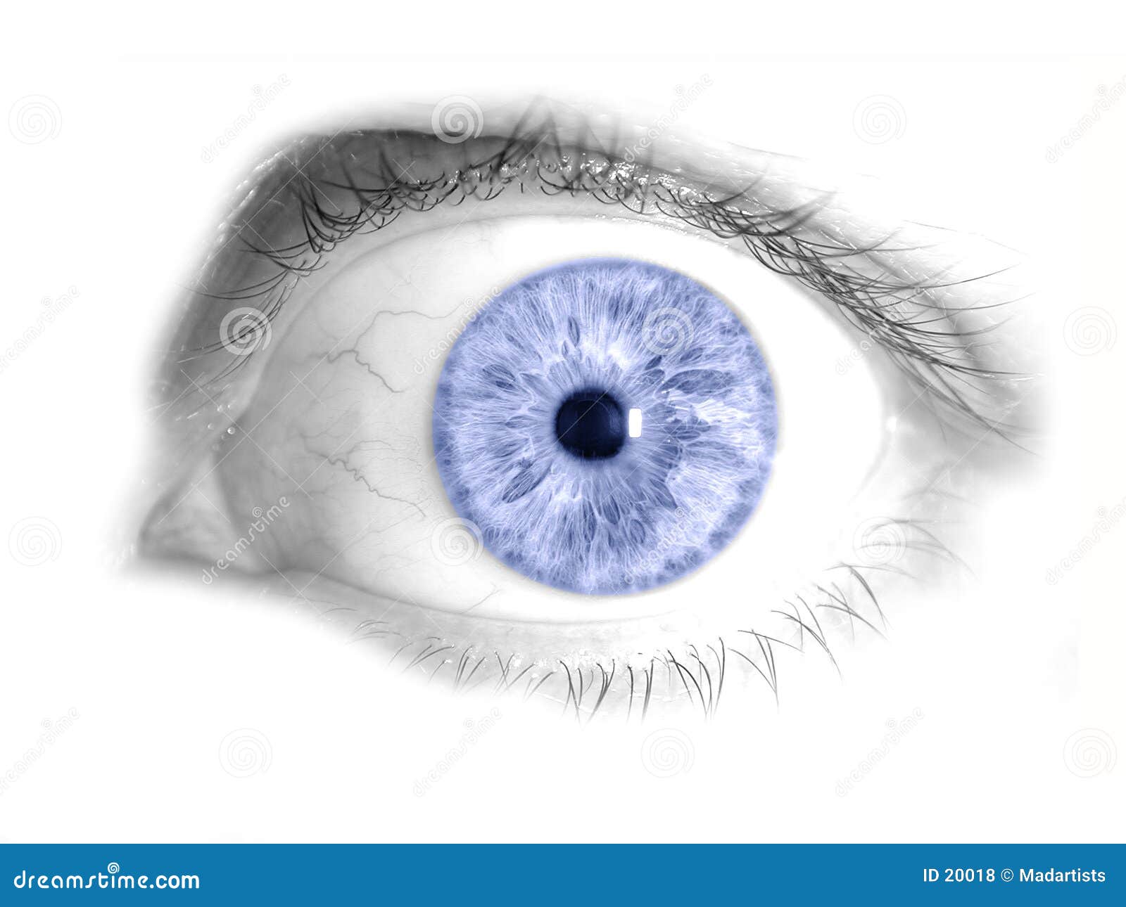 Two Human Eyeballs Lie On The Table For Testing Visual Acuity Front ...