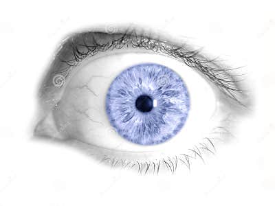 Blue Human Eye Isolated Photo Stock Photo - Image of lash, muscle: 20018