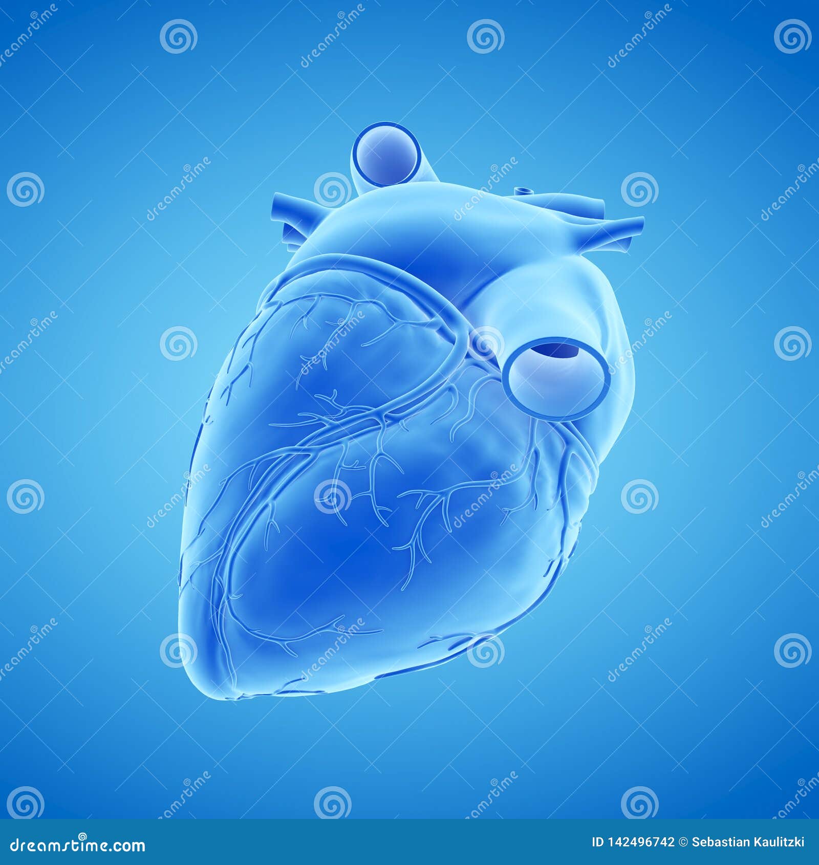 A blue human heart stock illustration. Illustration of rendered - 142496742