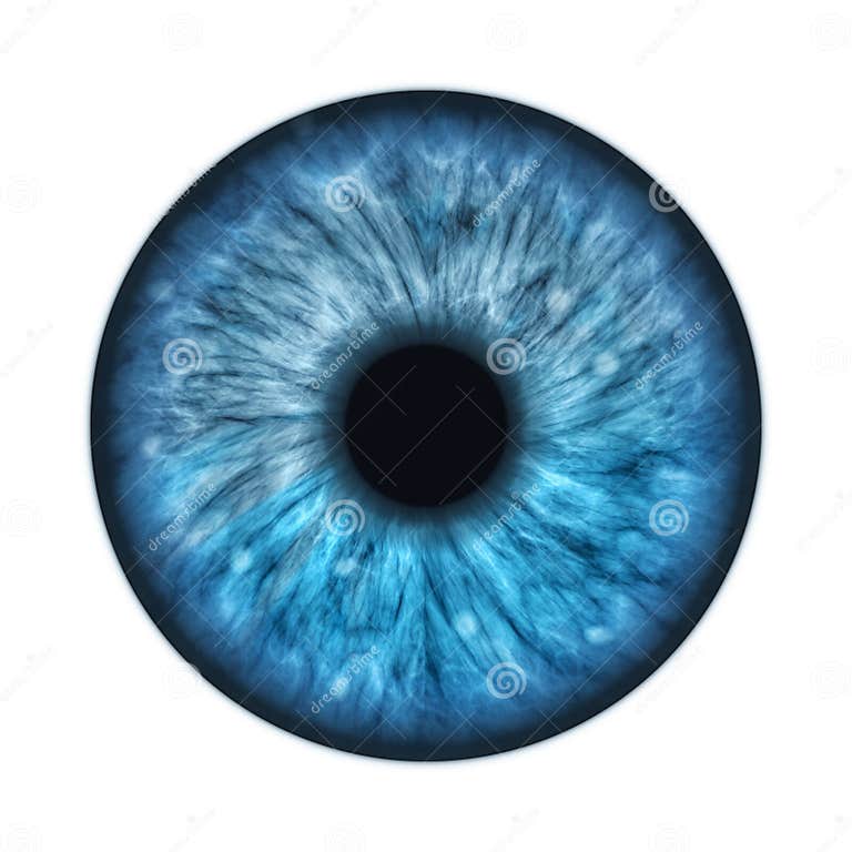 Blue human iris stock illustration. Illustration of design - 140457797
