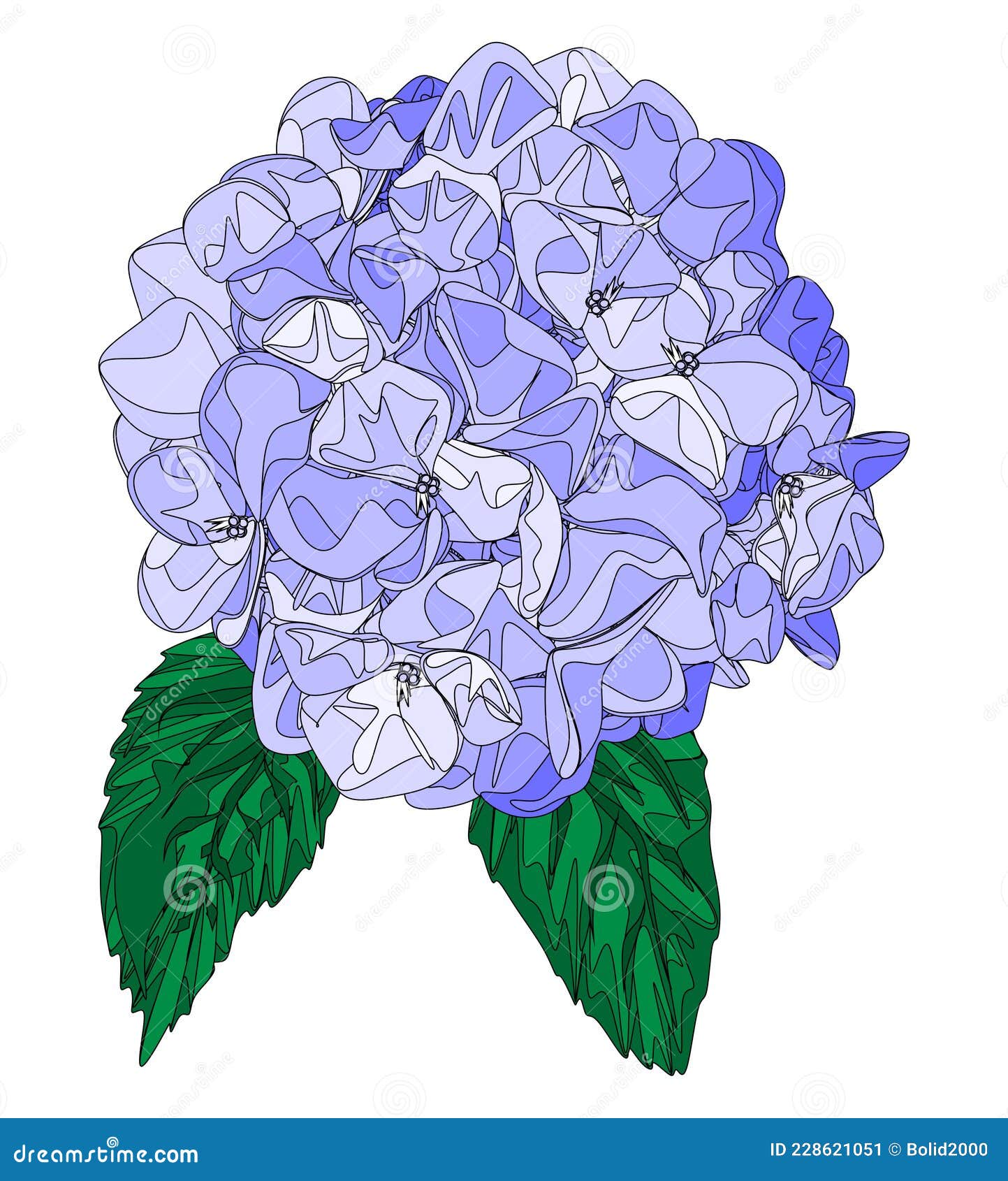 Blue hydrangea cartoon stock illustration. Illustration of isolated ...