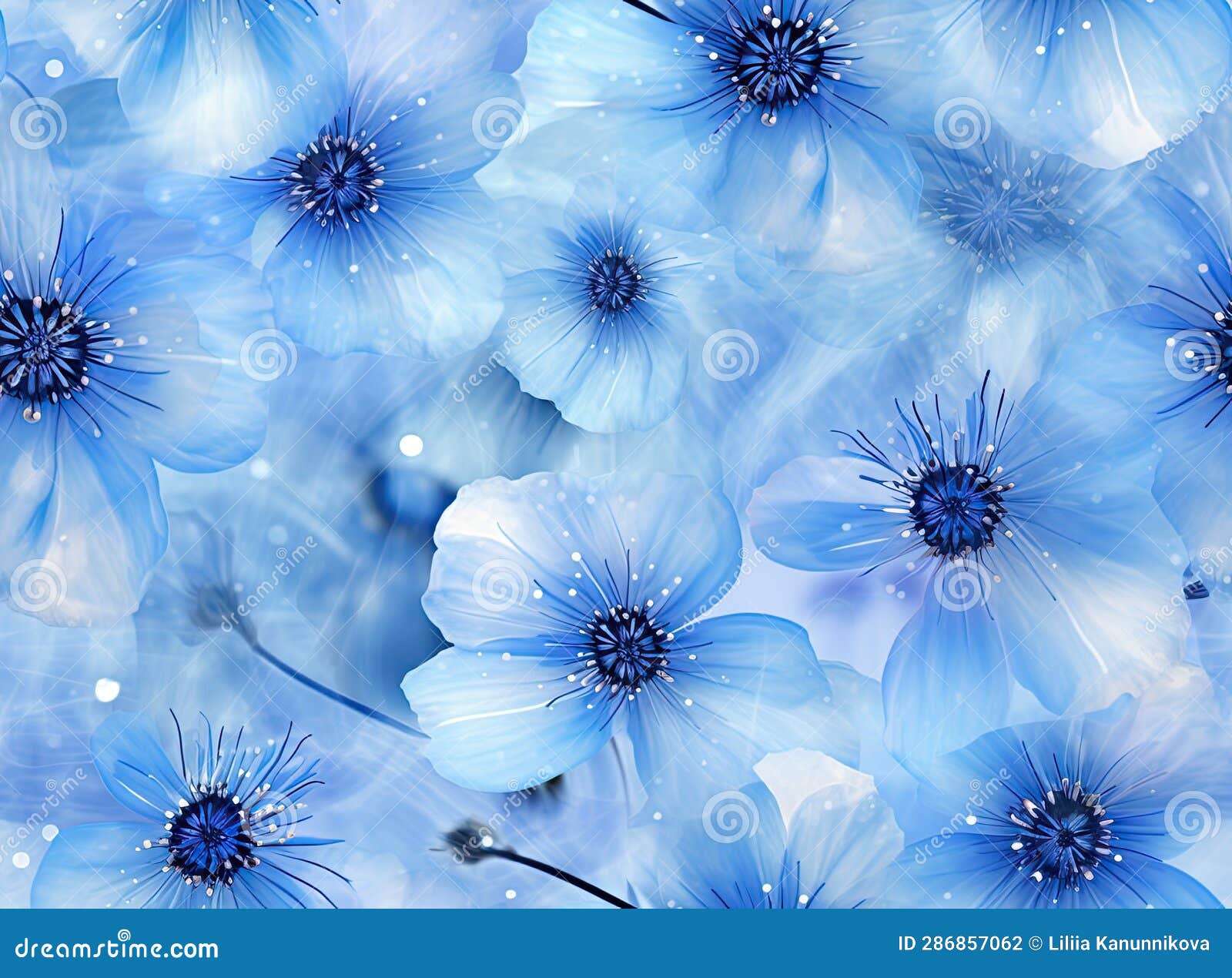 Blue Hydrangea Hydrangea Macrophylla or Hortensia Flower with Dew in ...