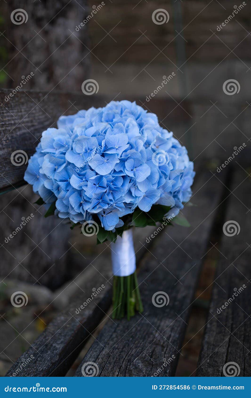Blue Hydrangea Wedding Bouquet. Bridal Bouquet. Wedding. Stock Photo ...