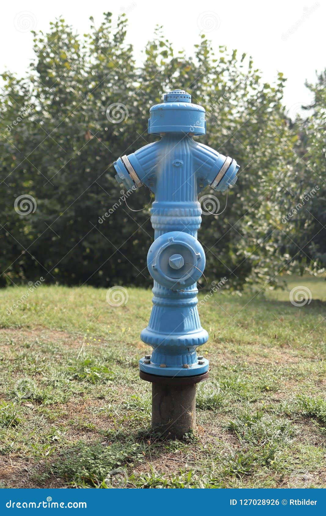 Blue Hydrant And Red Hydrant Cabinet Royalty-Free Stock Image ...