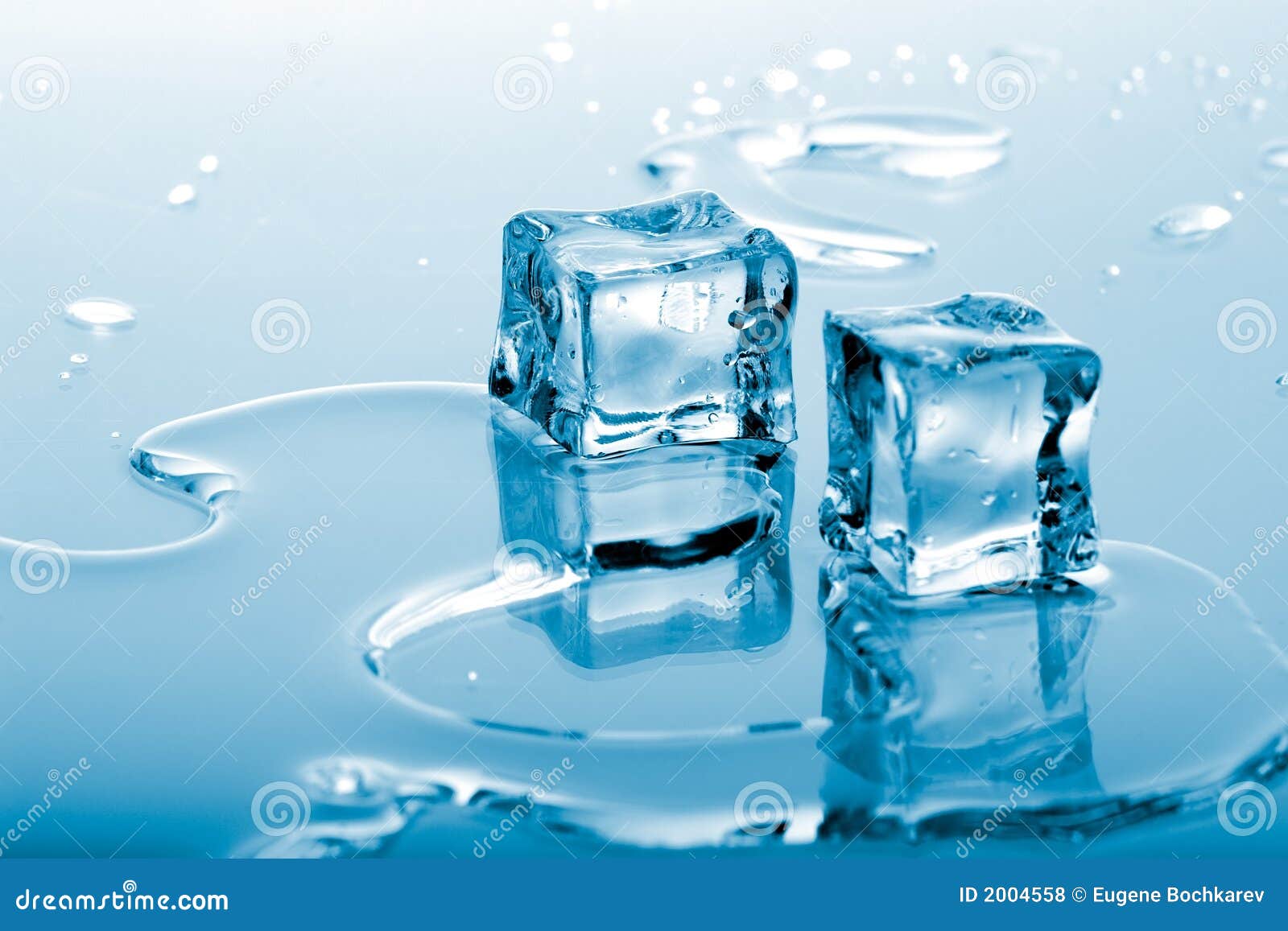 Blue ice cubes stock photo. Image of freezer, glass, icecubes - 2004558