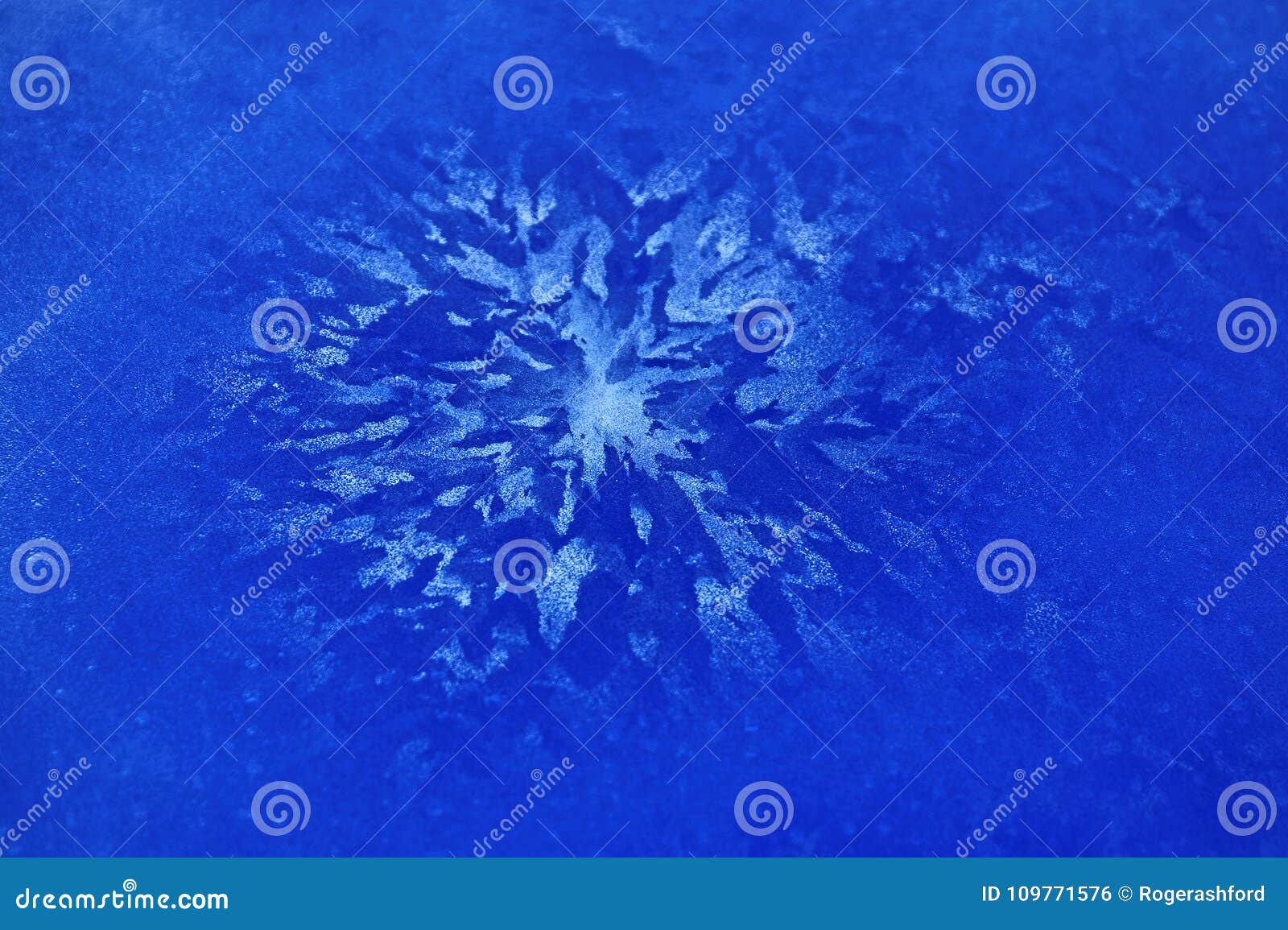 Blue ice flower stock photo. Image of macro, hoarfrost - 109771576