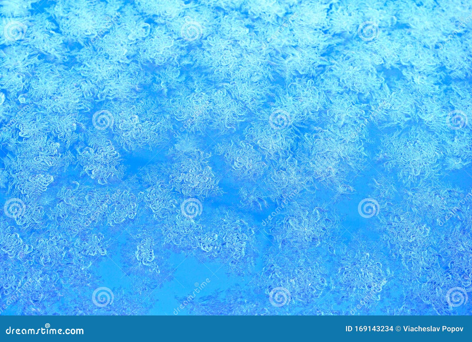 Ice Frost Frame Royalty-Free Stock Image | CartoonDealer.com #97065202