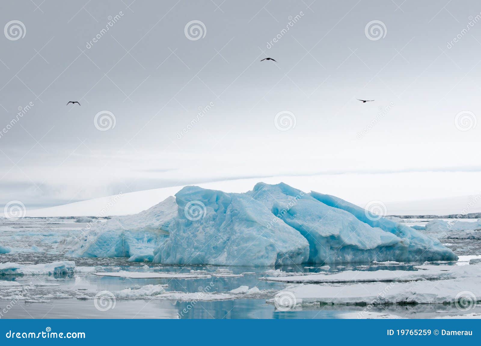 Blue iceberg stock image. Image of ocean, wildlife, water - 19765259